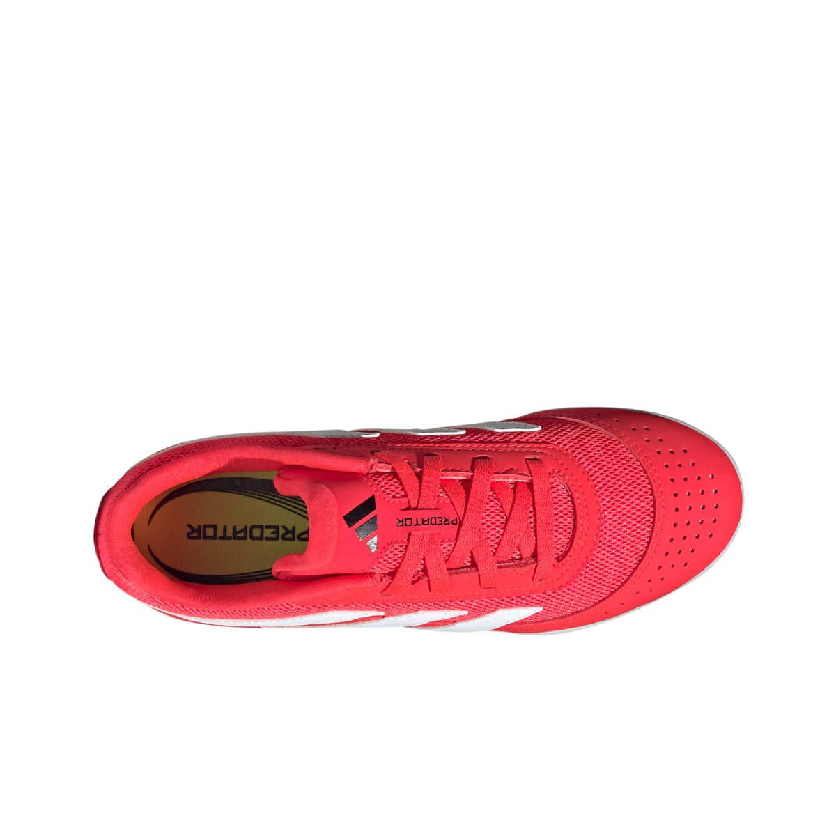 Botines Adidas Predator Club Futsal NiNo a